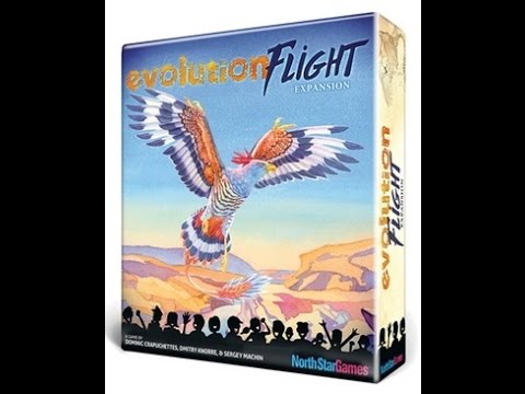 Evolution: Flight Review - YouTube