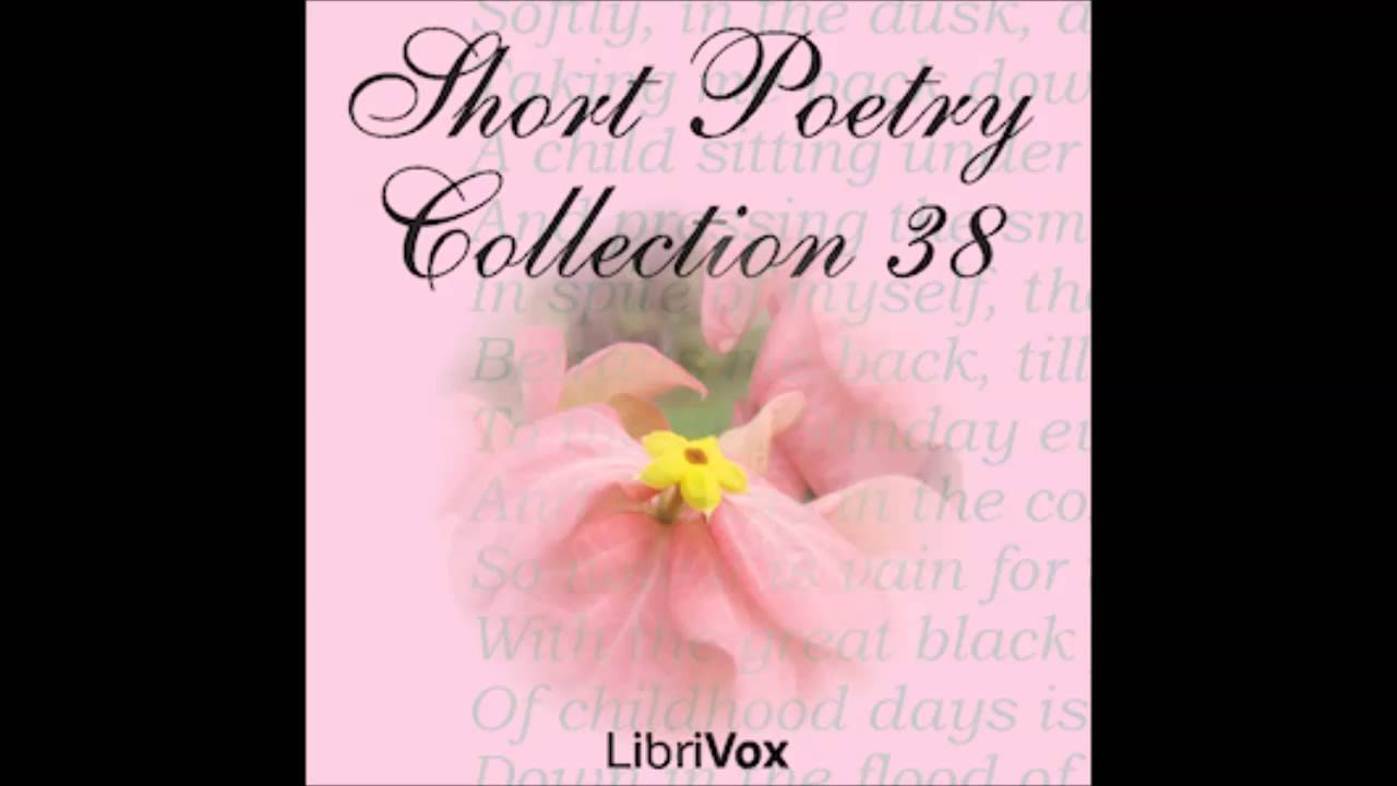 Bat by D. H. Lawrence - YouTube