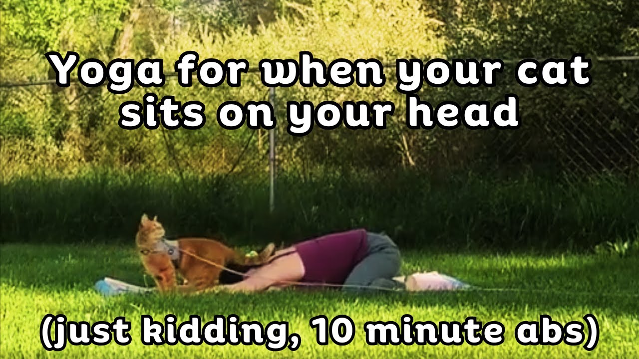 10 Minute Yoga for Abs - Yoga with Cats - YouTube