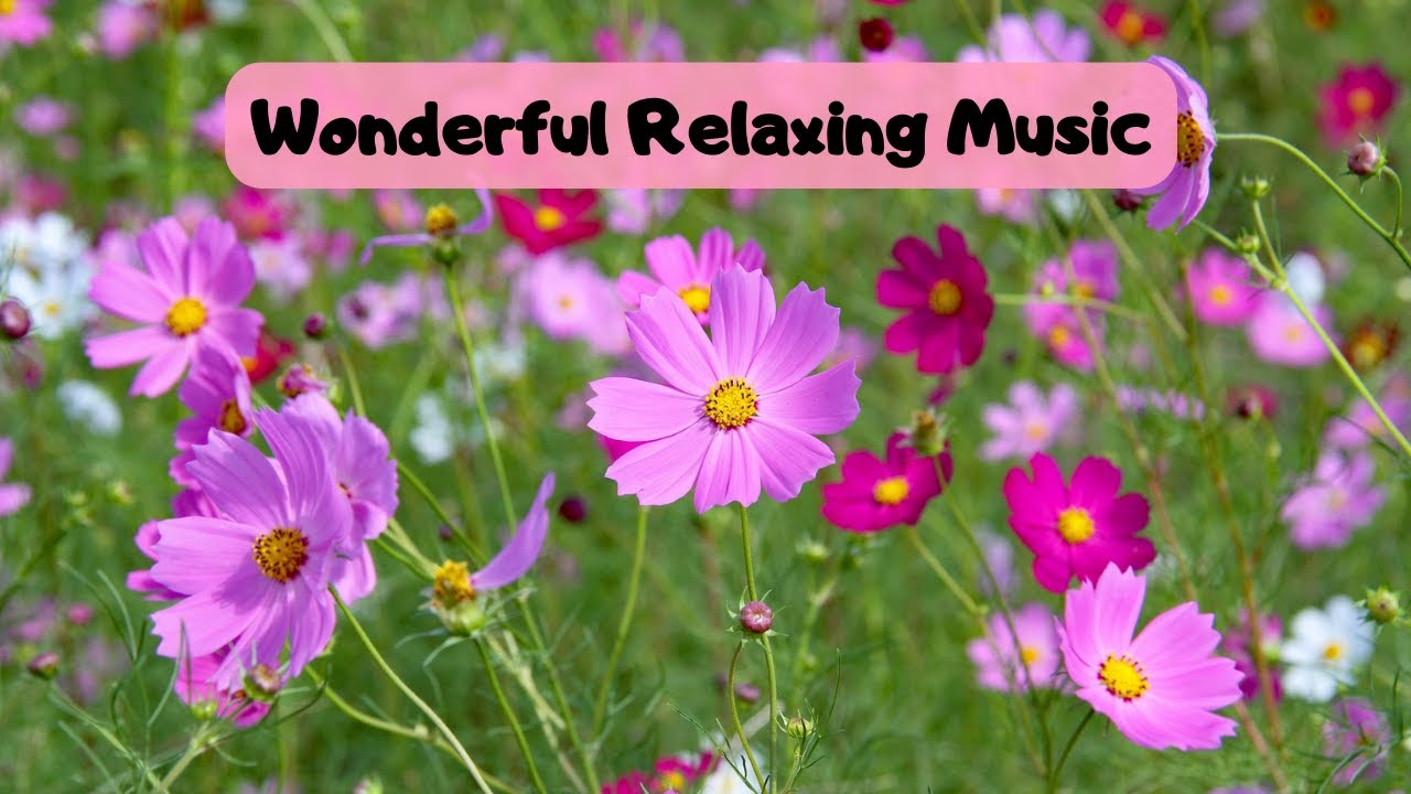 😍 🎶 Wonderful Relaxing Music & Beautiful Flower Meadow (Meditation ...