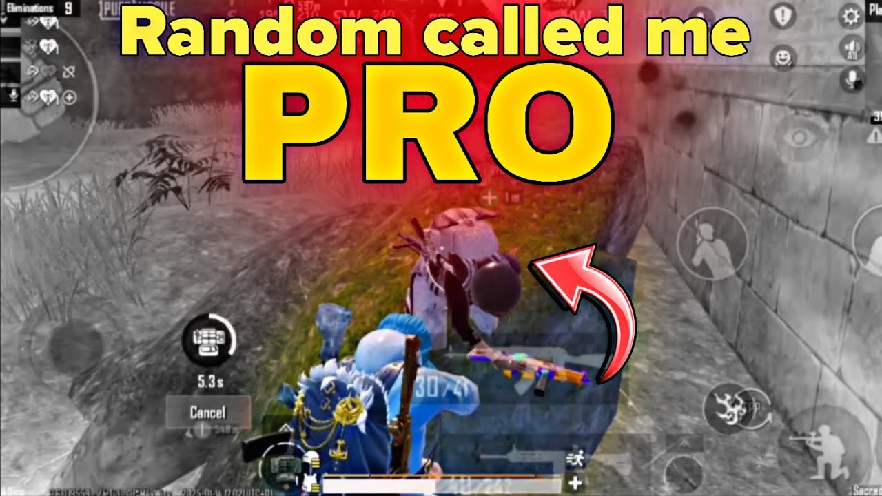 Random Player Called me PRO | Randoms in PUBG - YouTube