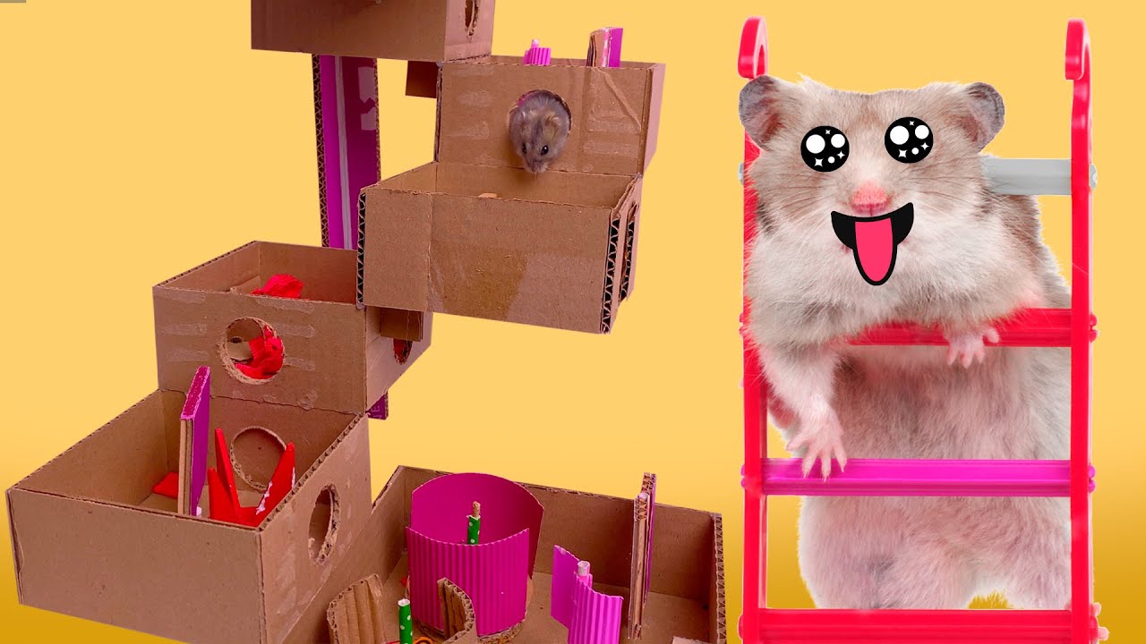 Hamster escape: Awesome Maze in Real Life - YouTube