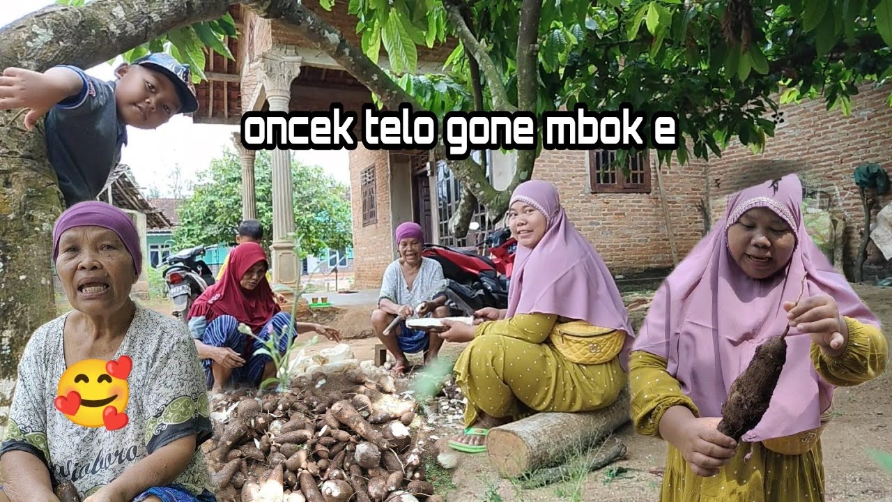 lagi oncek Songkong dirumah mbok e bikin gaplek - YouTube