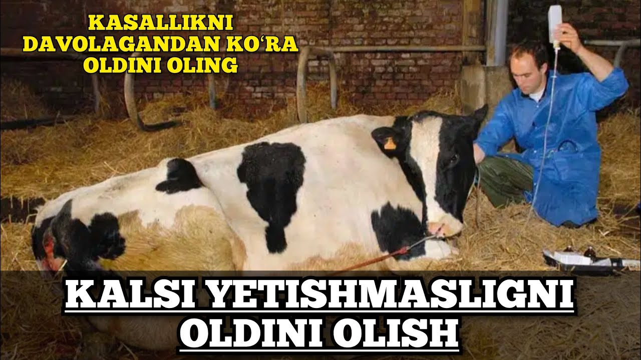 SIGRLARDA KALSIY YETISHMASLIGINI OLDINI OLISH YOKI DAVOLSH. #pares # ...