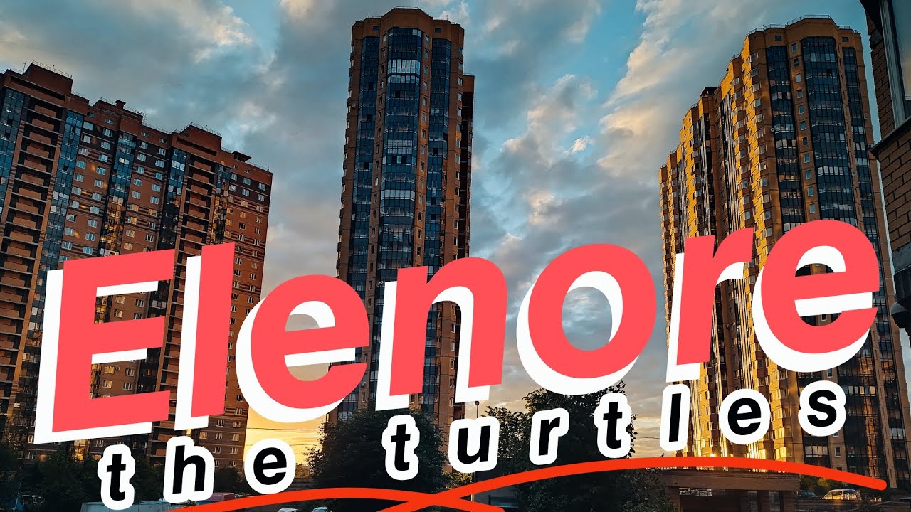 (the turtles) elenore - YouTube