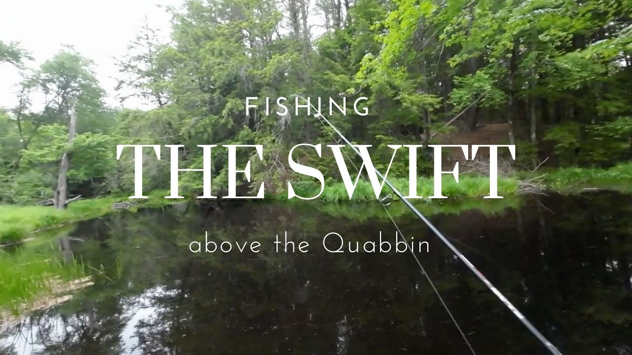 Fishing The northern reaches of the Swift River in Massachusetts - YouTube