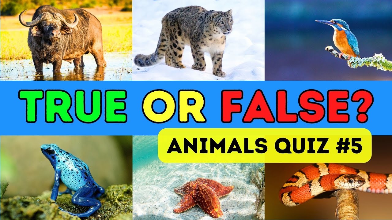 True Or False Animal Facts YouTube true-or-false-animal-facts-youtube