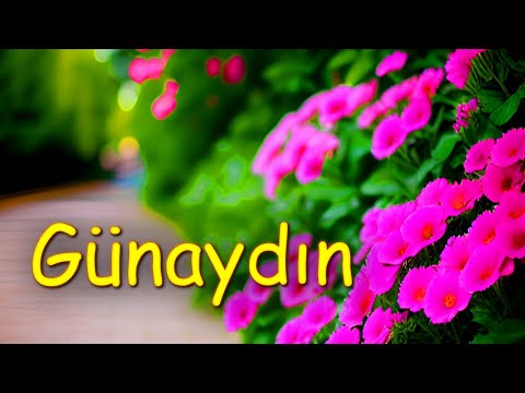 Günaydın | Günlük yaşamın basit sevinçleri | Güzel Mesaj