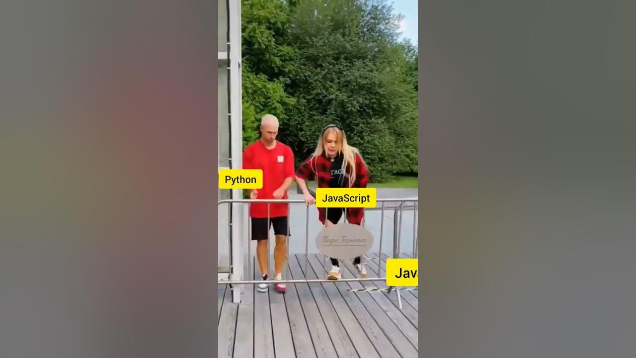 Java Vs Javascript Vs Python Shorts Coding Memes Codinglife Codingmeme Funny 