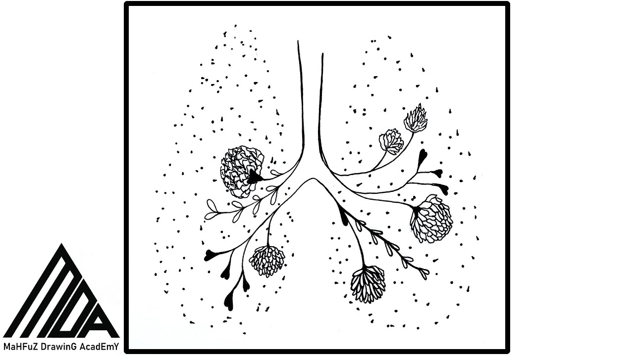 Realistic Lungs Drawing || Human lungs || Lungs Tree || Step by Step ...