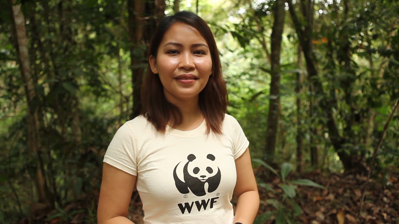 Video orang-oetan actie 2015: Oproep natuurbeschermer Donna Simon - YouTube