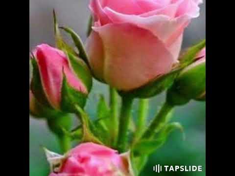 GOZEL SOZLER🤗💕