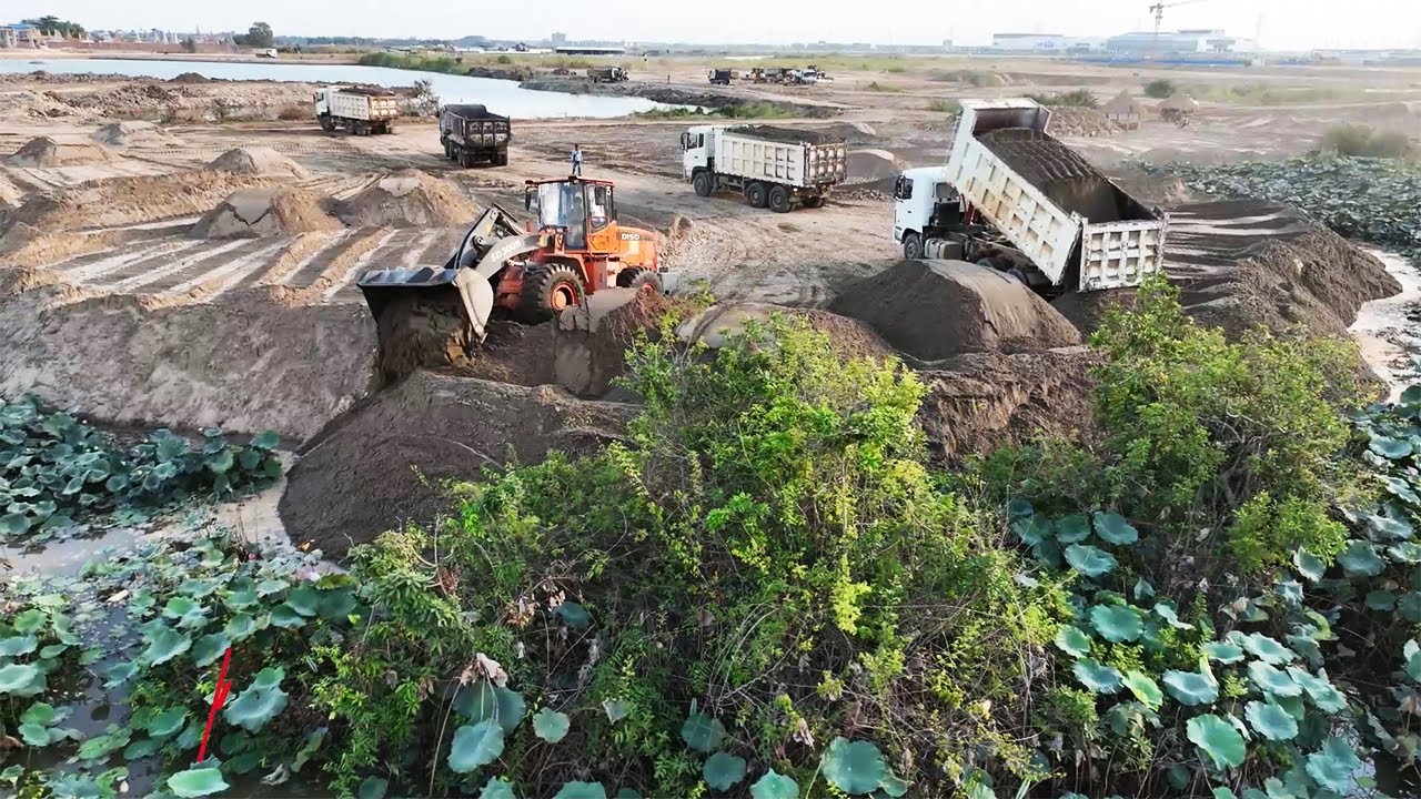 New Update 40% Sand Filling Up Wheel Loader Bulldozer Moving Sand Dump ...