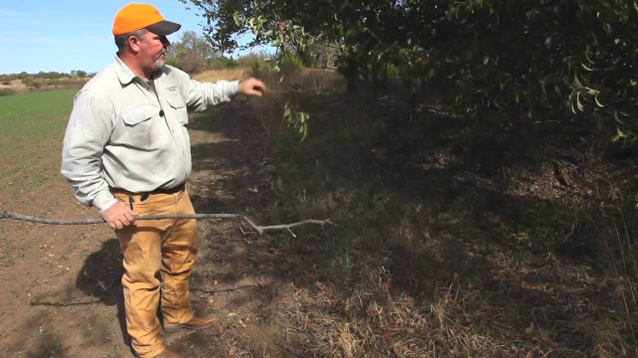 Deer Hunting 101: Making a mock scrape - YouTube