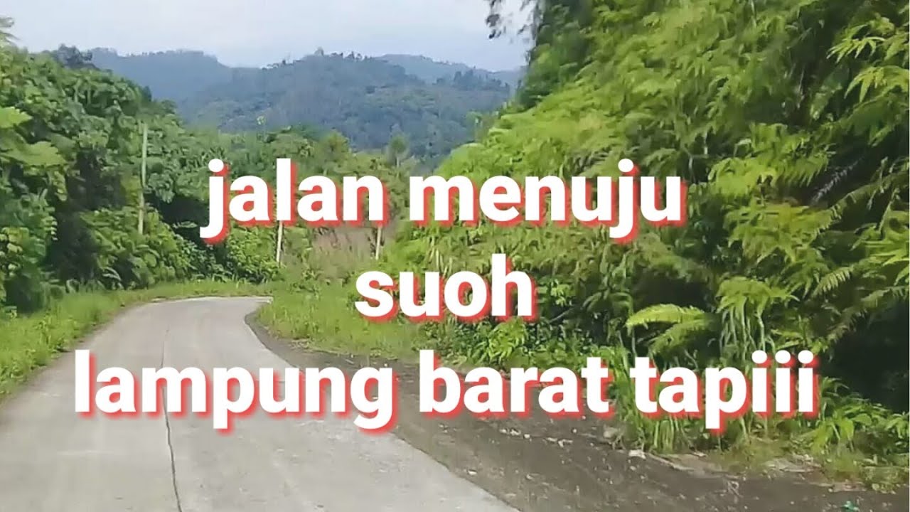 Jalan menuju suoh lampung barat tapi - YouTube