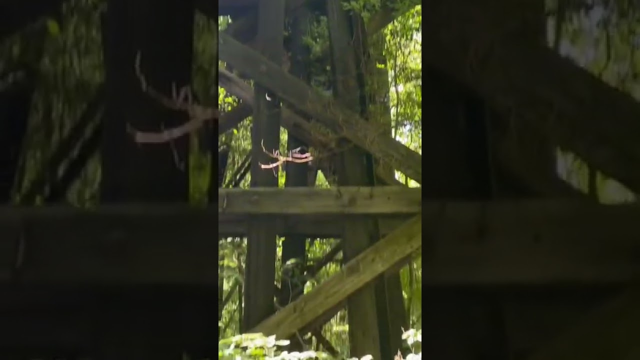 Delphi Murders: Under the Bridge - YouTube