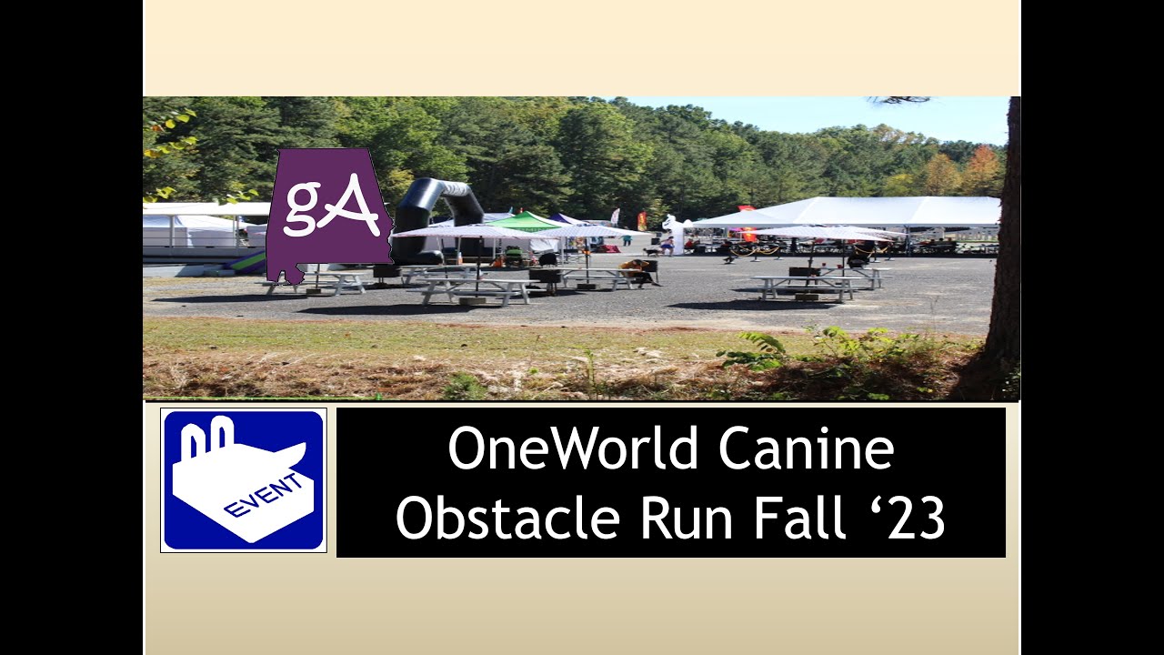 OneWorld Canine Obstacle Run Fall 2023 - YouTube