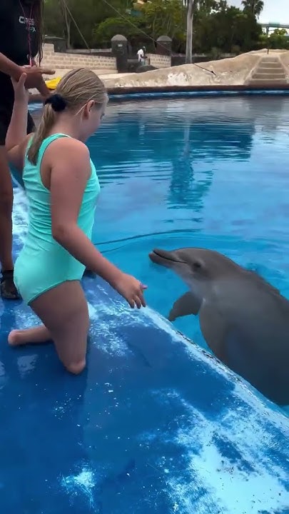 :Daisy-May Demetre: Courage in Motion – Dancing with Dolphins 🦿🐬 - YouTube