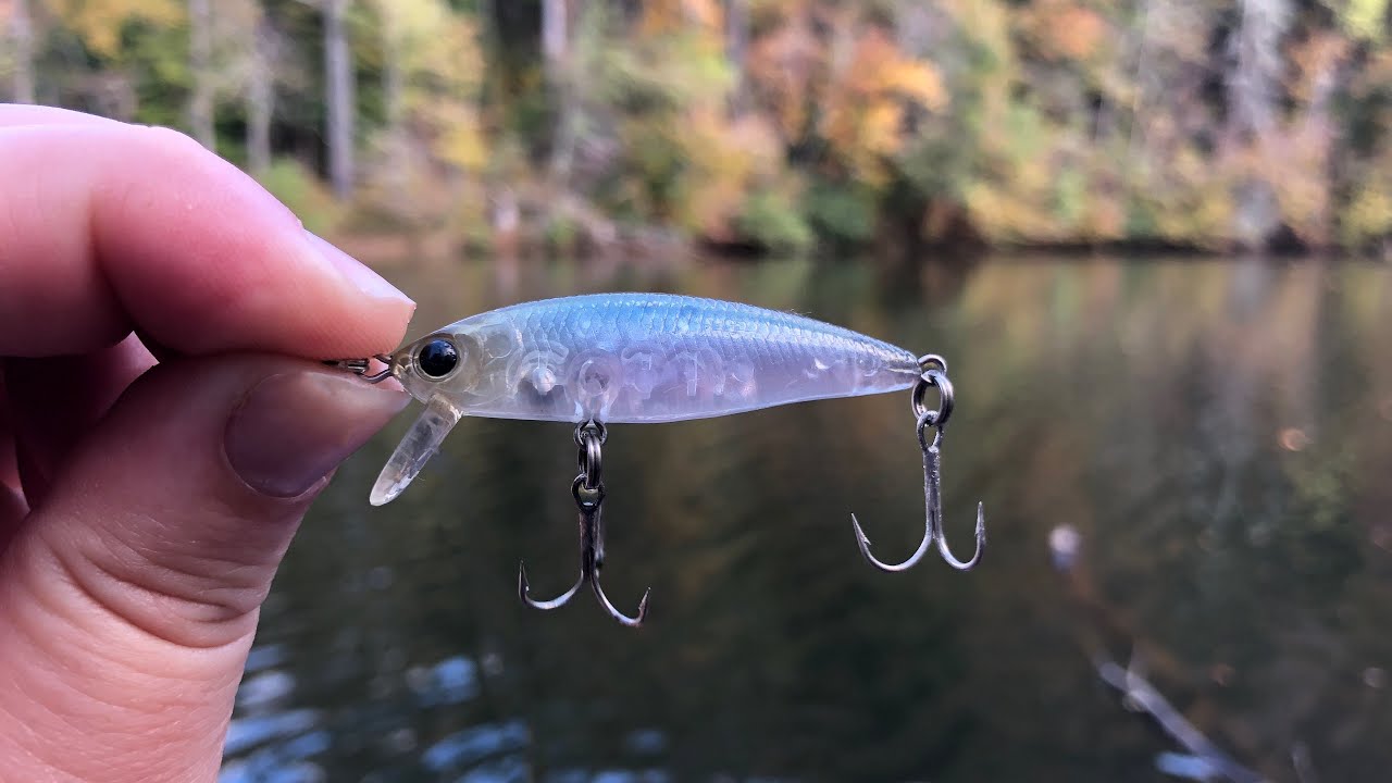 Fishing With Small Jerkbait (How many can we catch?) - YouTube