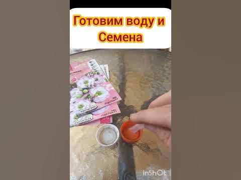сажаем эустому - YouTube