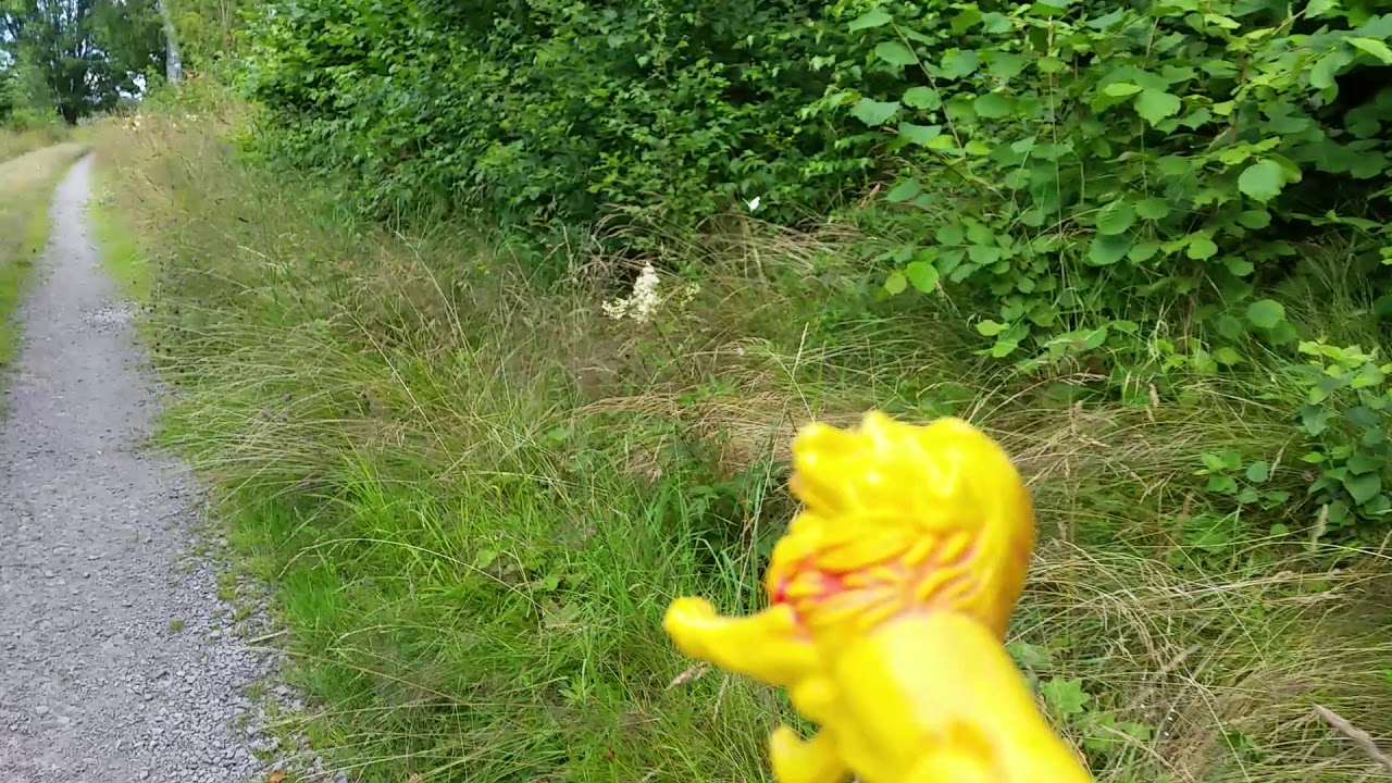 The Lion King toy video Simba chasing a butterfly - YouTube