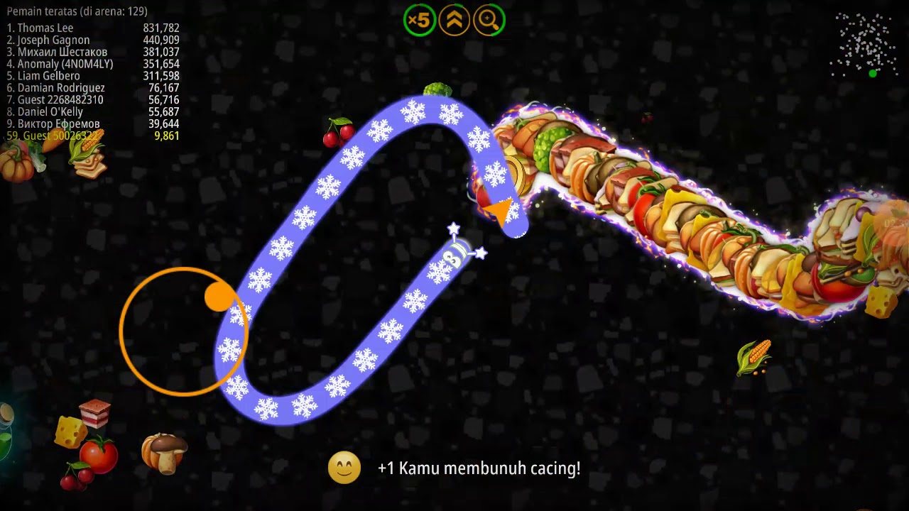 Cacing besar Alaska - YouTube