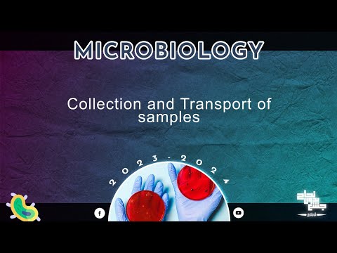 Pract 2, Collection and transport of samples, Microbiology - YouTube