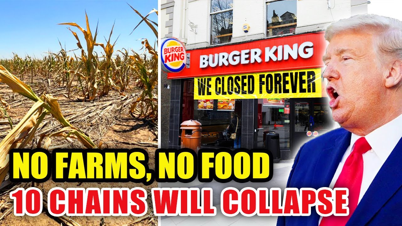 10 Fast Food Chains WILL Collapsing As U.S. BIGGEST Farm Collapse - YouTube