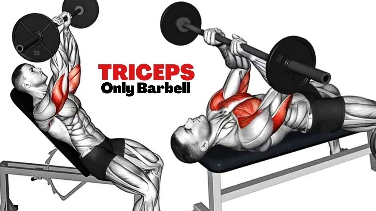 Massive Triceps in Minutes: Barbell Triceps Workout Guide - YouTube