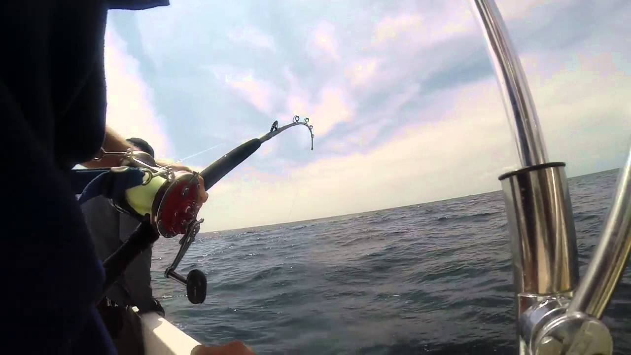 Shark Fishing on Jeffreys Ledge - YouTube