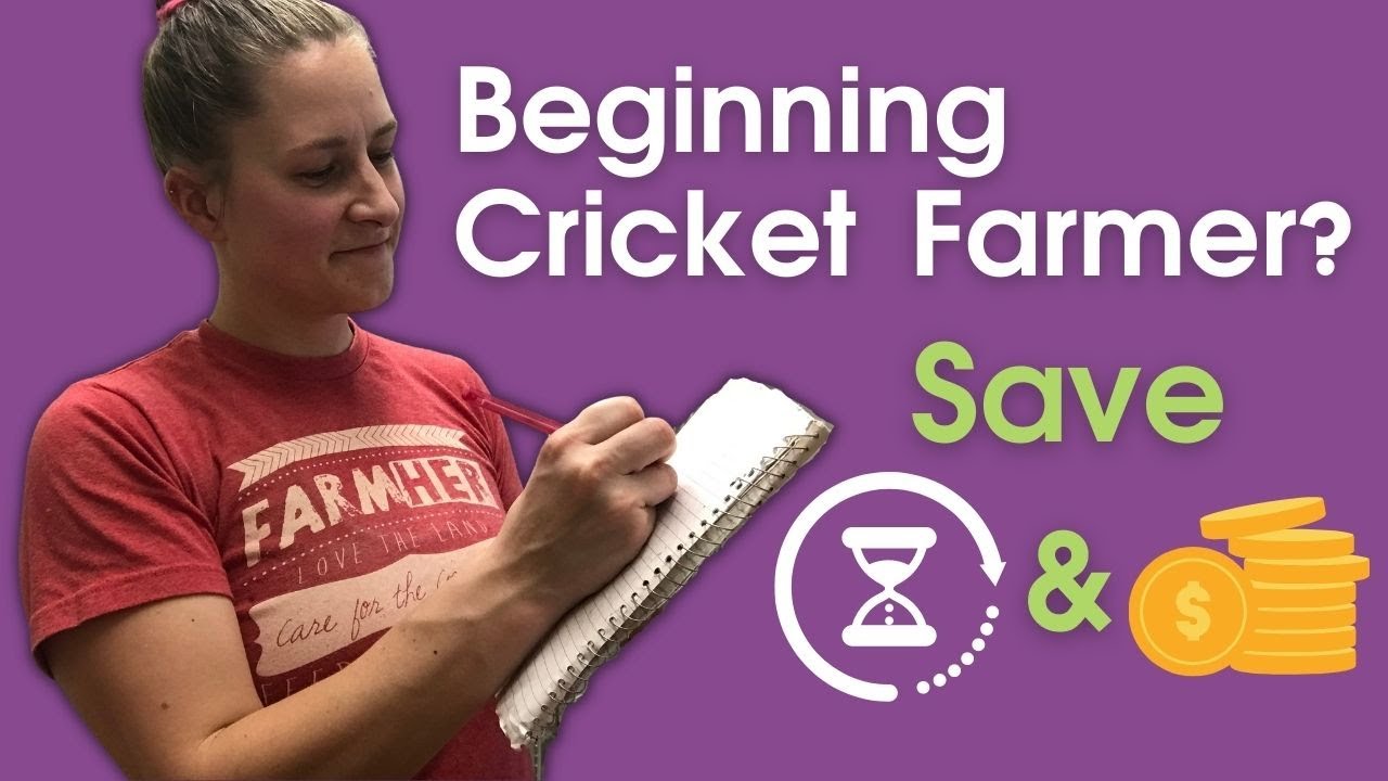 How to Start a Cricket Farm? Sustainable Protein Production | Farmvina