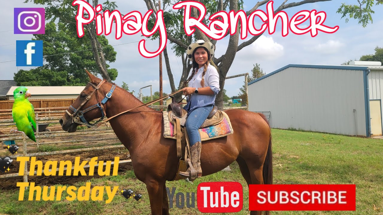 YEE HAW - FUN HORSEBACK RIDING TODAY. LET"S GO HAVE FUN HORSEBACK ...