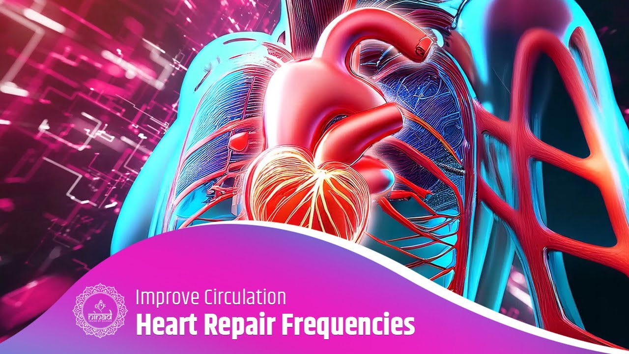 Heart Repair Therapeutic Frequencies | Improve Circulation & Heartbeat ...