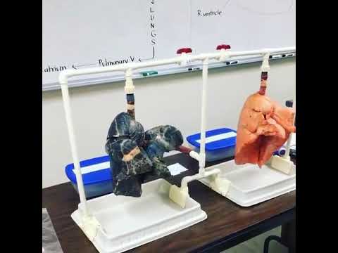 Siqaret ceken insanin