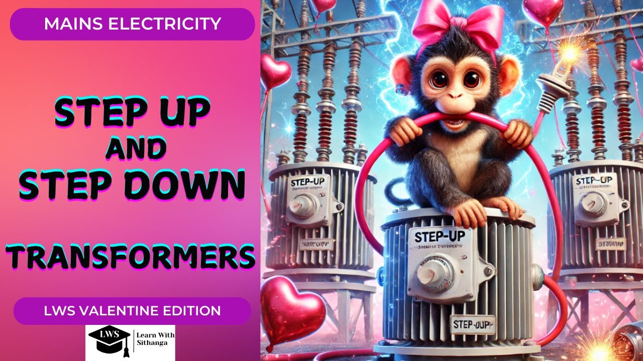 What are step up and step down transformers ?⚡🐵(Monkey Power Cut in Sri ...