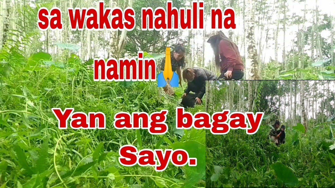 sa wakas nahuli na namin yan ang bagay sayo #bagwak#intense # ...