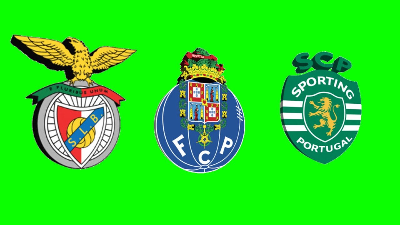 8 x Portuguese Primeira Liga football clubs logo animations on green ...