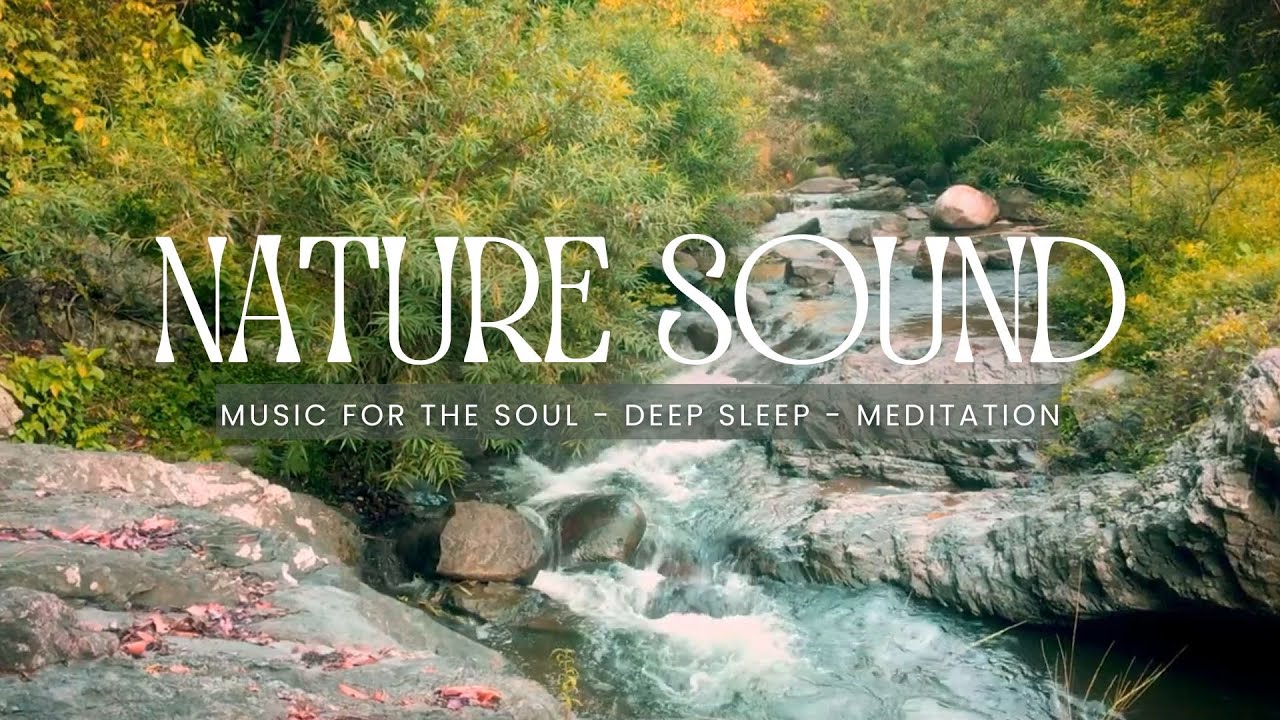 Relaxing Music With Nature Sounds - Soothing Music for Stress Relief ...