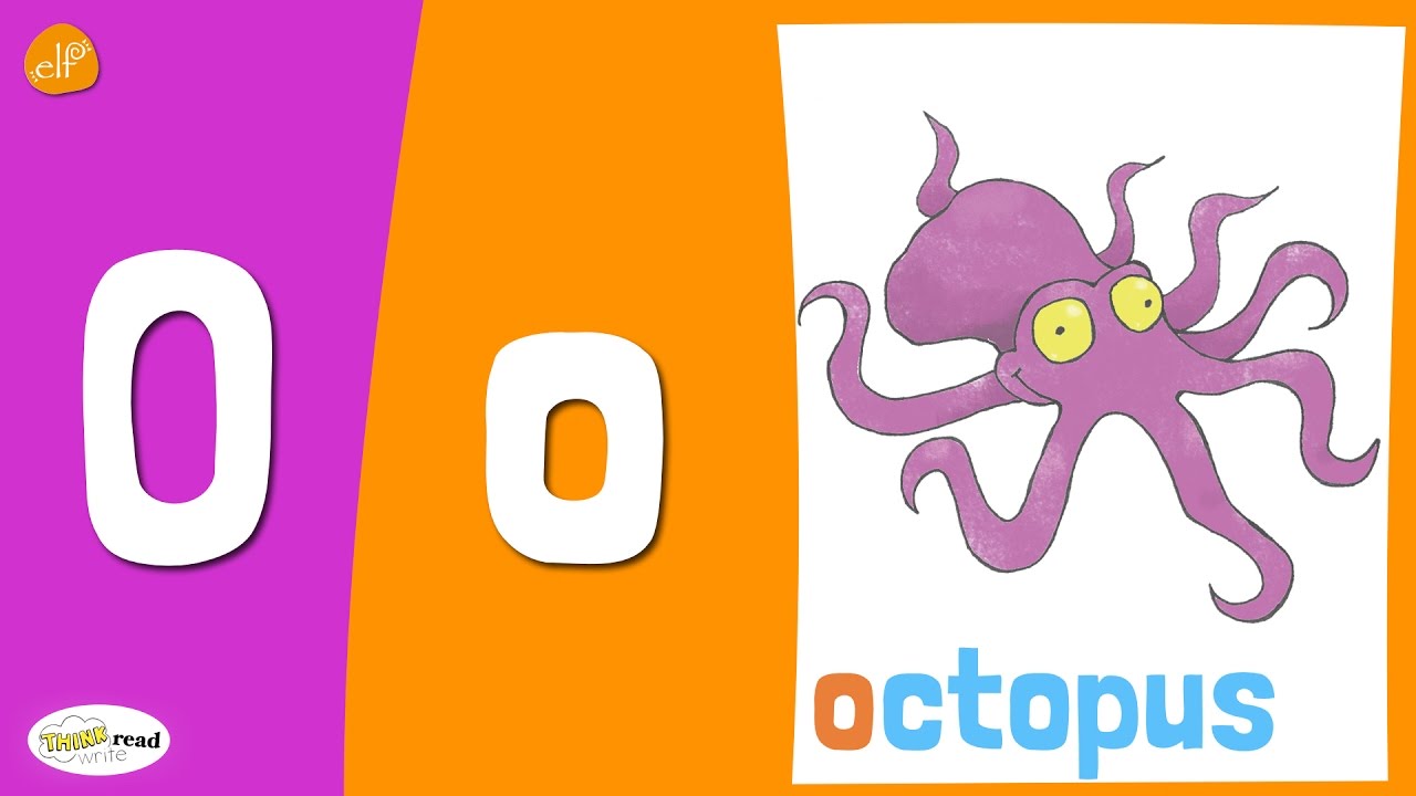 Letter O Practice | Phonics and Vocabulary | Think Read Write | ELF ...