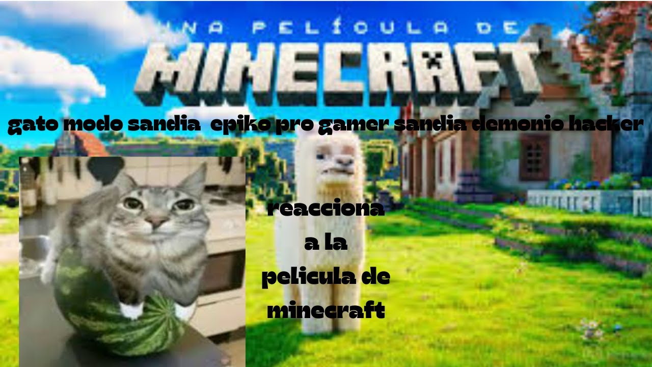 gato modo sandia epiko pro gamer sandia demonio hacker - YouTube