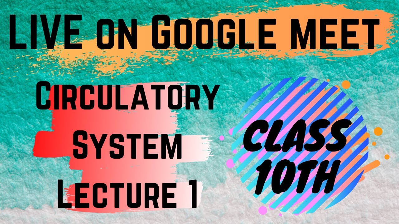 LIVE - Circulatory System Lecture 1 - Class 10th - Google Meet | Amoeba ...