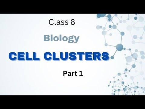 8th science (biology )chapter 2 cell cluster study video - YouTube