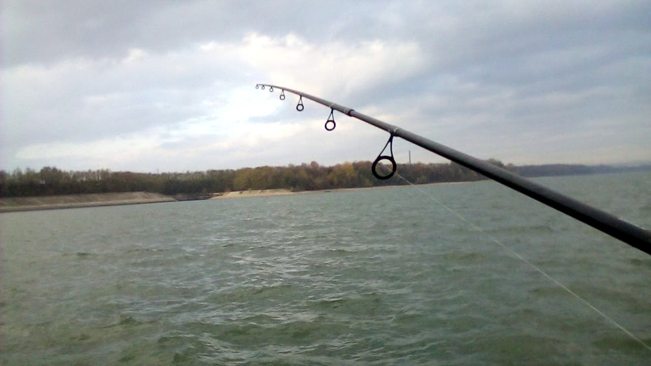 Pescuit 6_11_2017(3) - YouTube