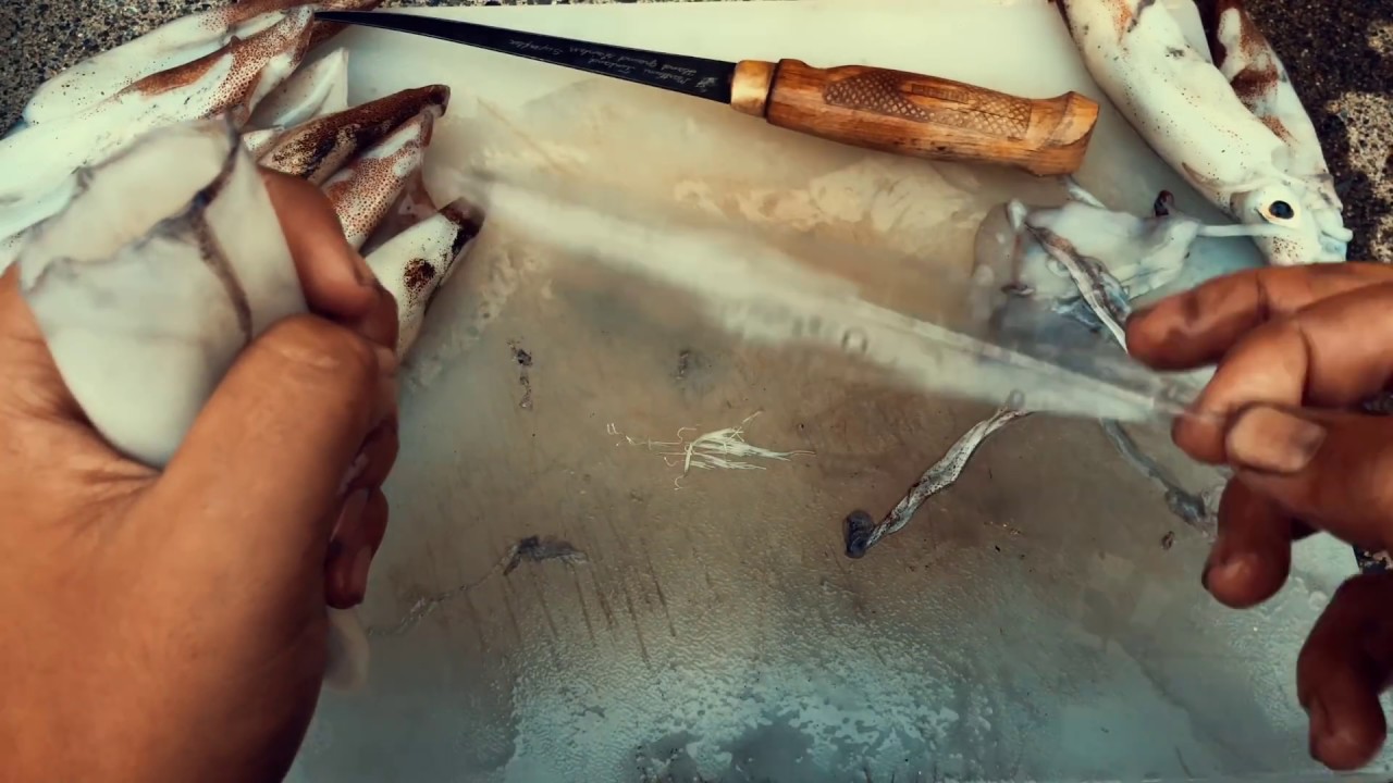 HOW TO GUT AND CLEAN A SQUID | cleaning a squid - YouTube