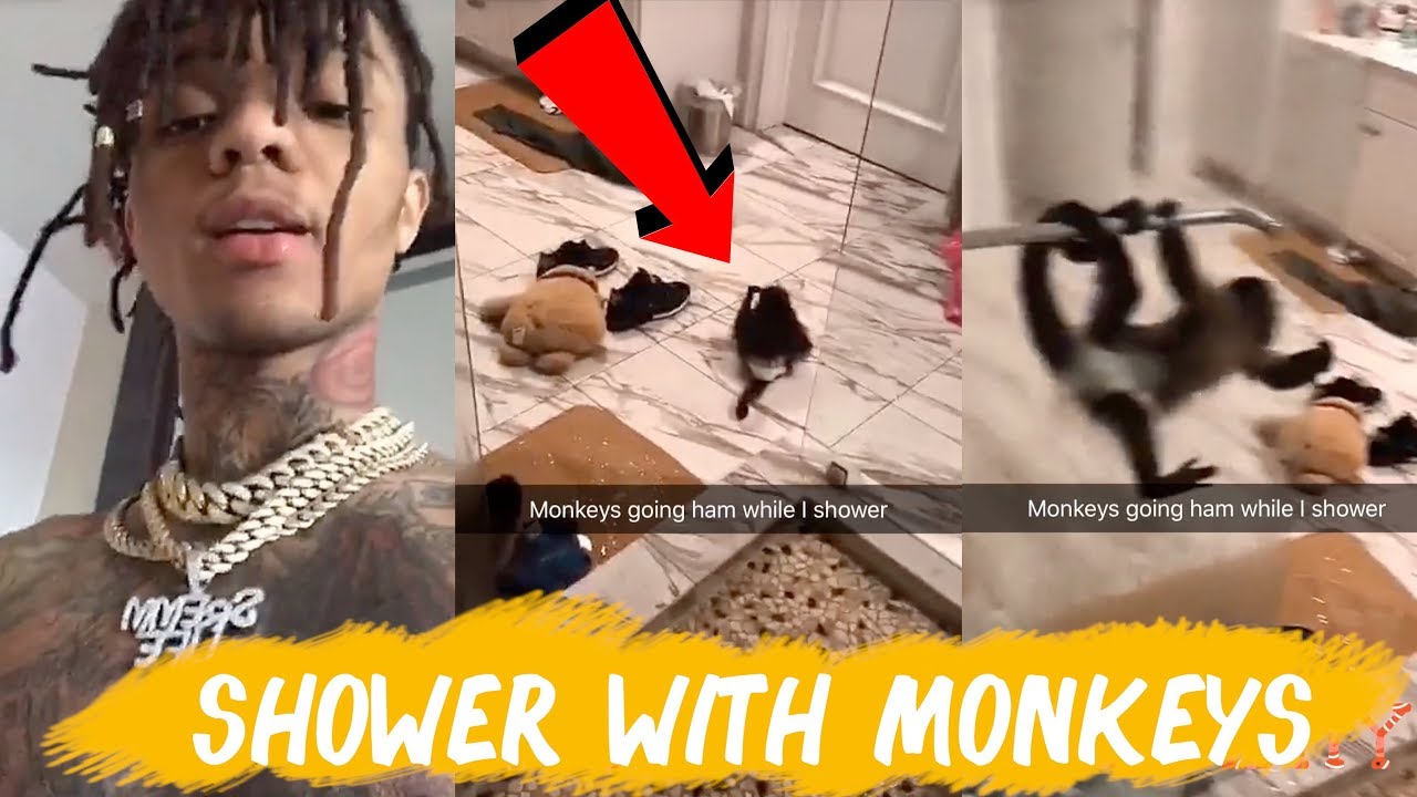 WEIRD? SWAE LEE SHOWERS WITH PET MONKEYS | EXPLAINS NEW ALBUM - YouTube