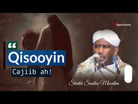 Qisas Cajiib ah! || Sheekh Saalax Macalim 
