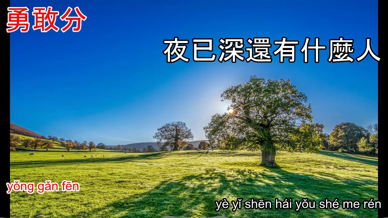 傷痕 - 林憶蓮 Shang hen - karaoke - YouTube