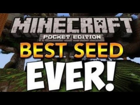Best Seed In Minecraft Pocket Edition [ HITEN GAMING ] - YouTube