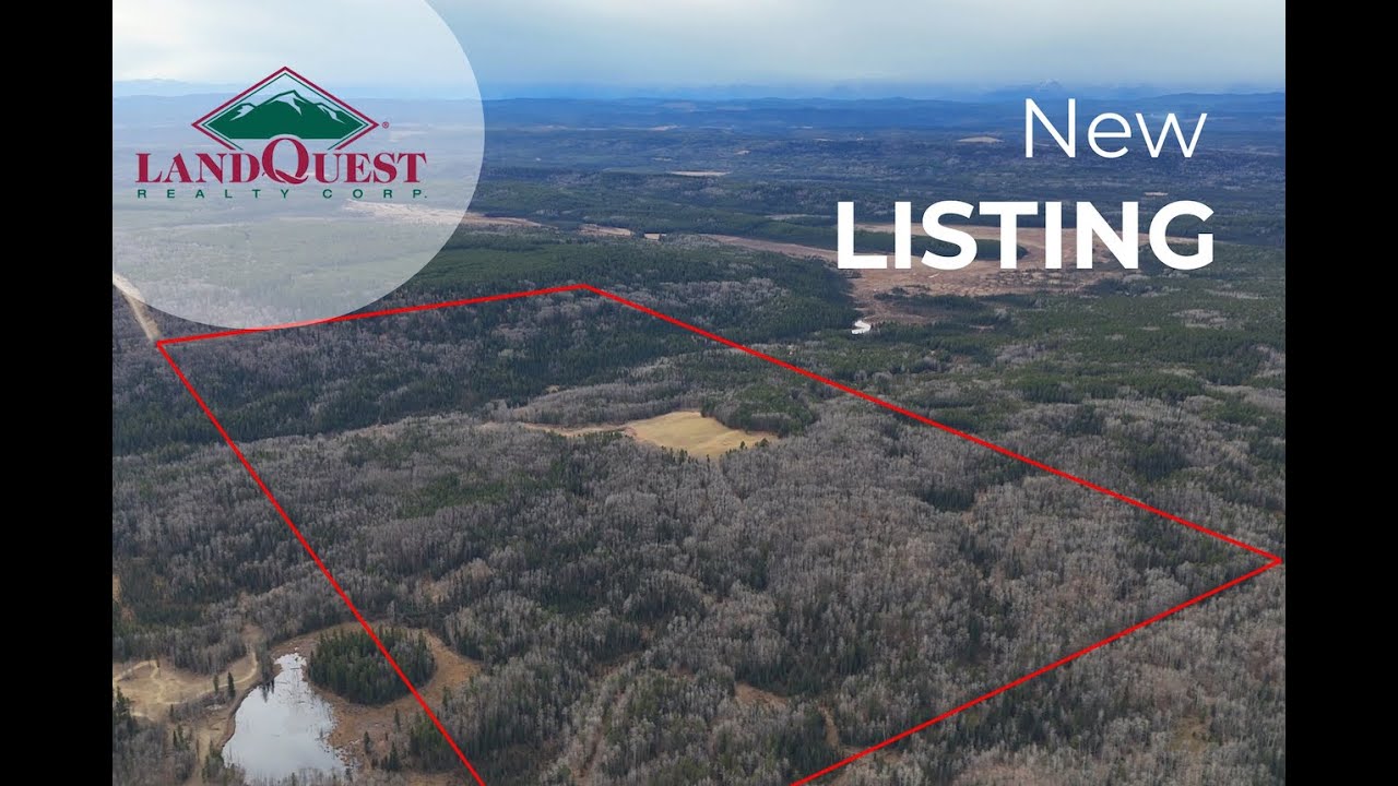 Where the Pavement Ends: 319 Acres of Freedom Near Water Valley - Water ...
