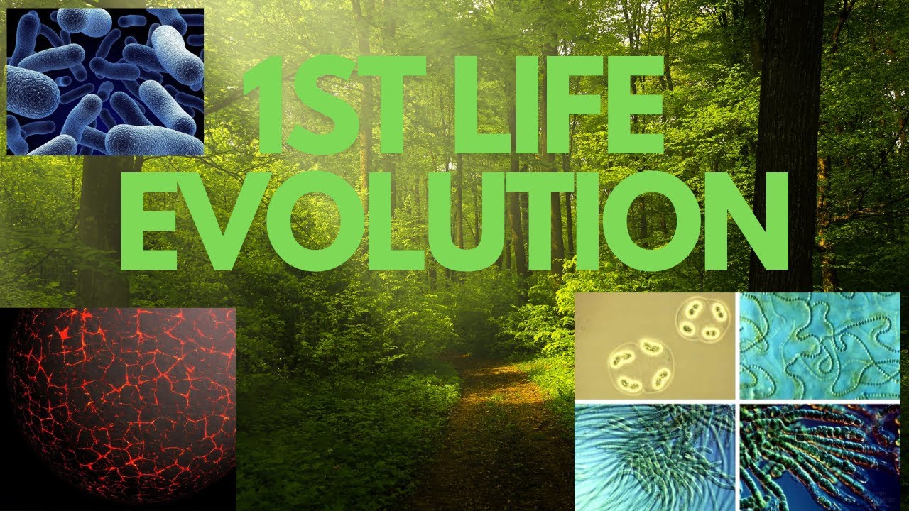FIRST EVOLUTION OF LIFE IN EARTH//GENERATION OF LIFE//@HistoryBuzzBio ...